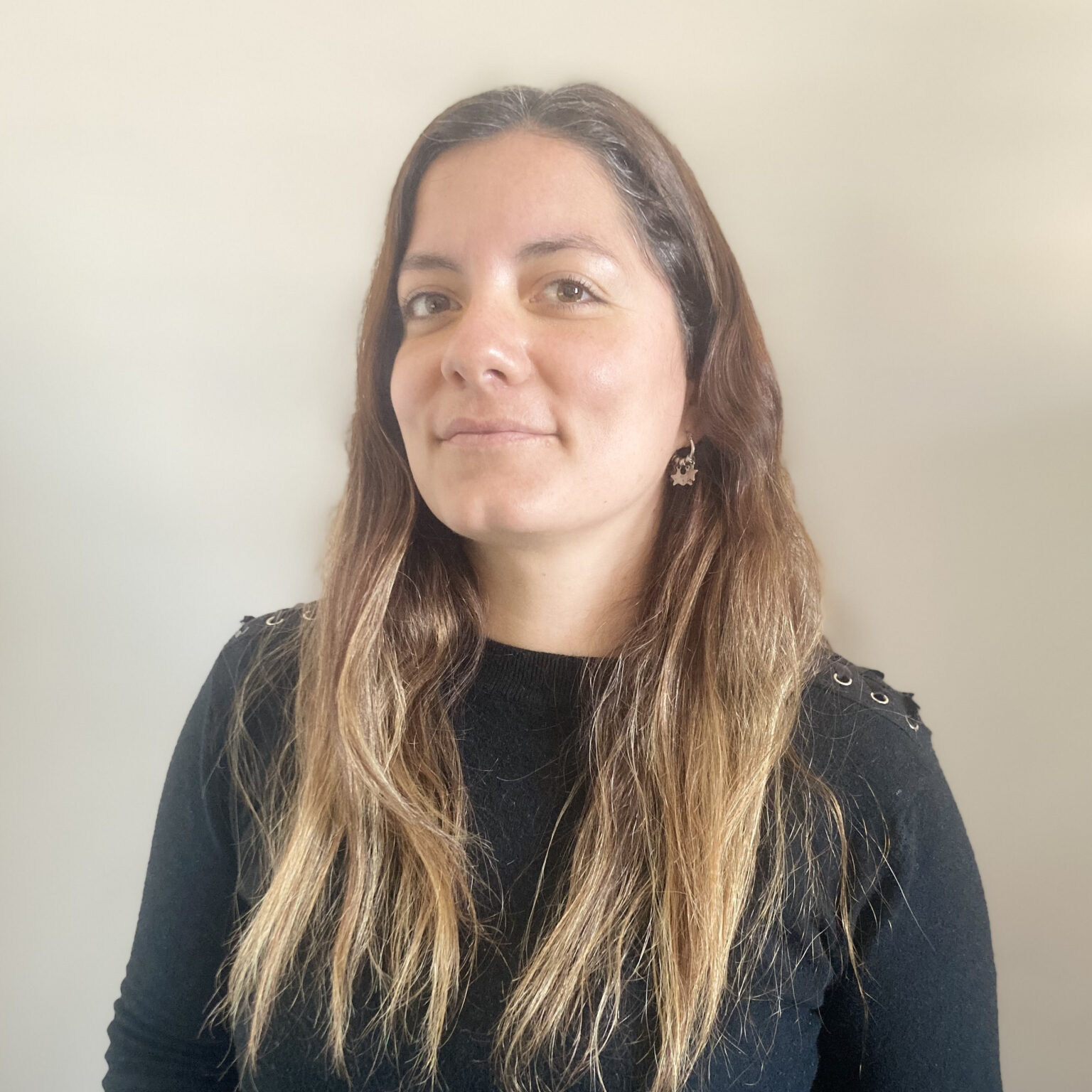 Centro Experimental de la Vivienda Económica